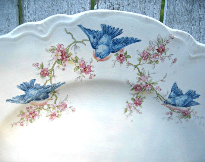 Vintage Bluebird Plate, Highly Collectible, Crazing but Gorgeous - Etsy