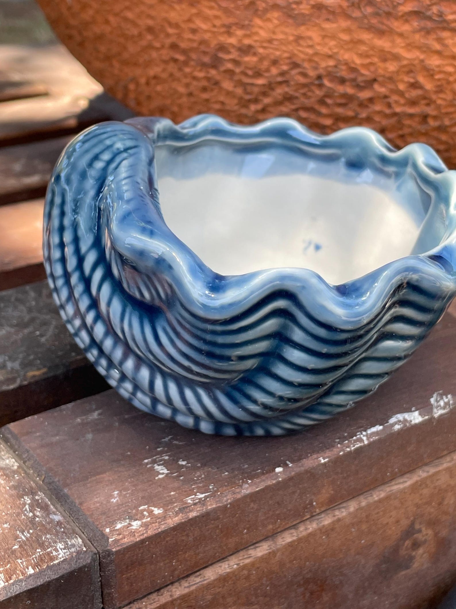 Shell Shaped Planter Pot ( Set of 2) Handmade Succulenet Cactus Ceramic ...