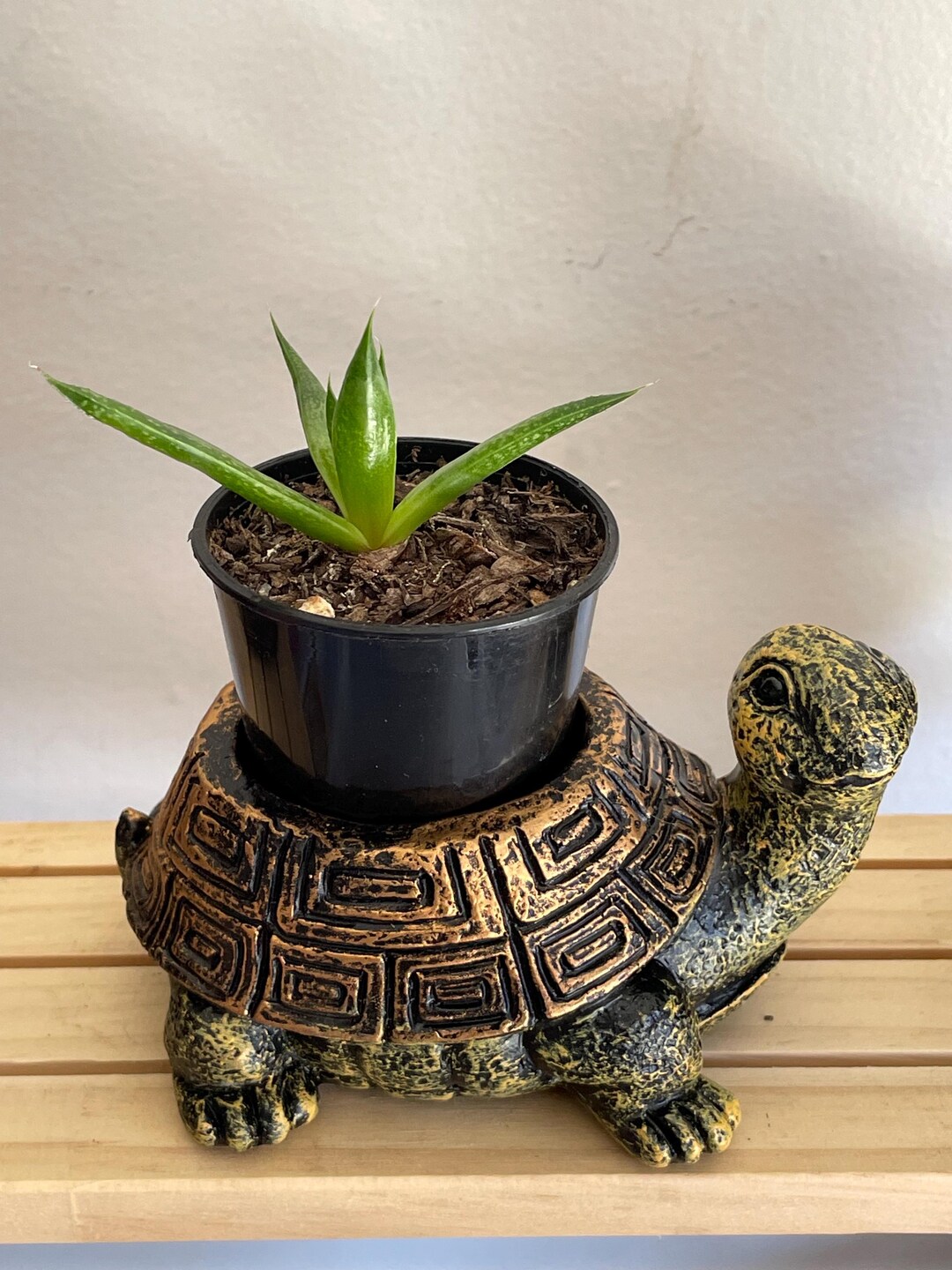 Turtle Planter Pot Succulent Planter Cactus Planter Small Garden ...