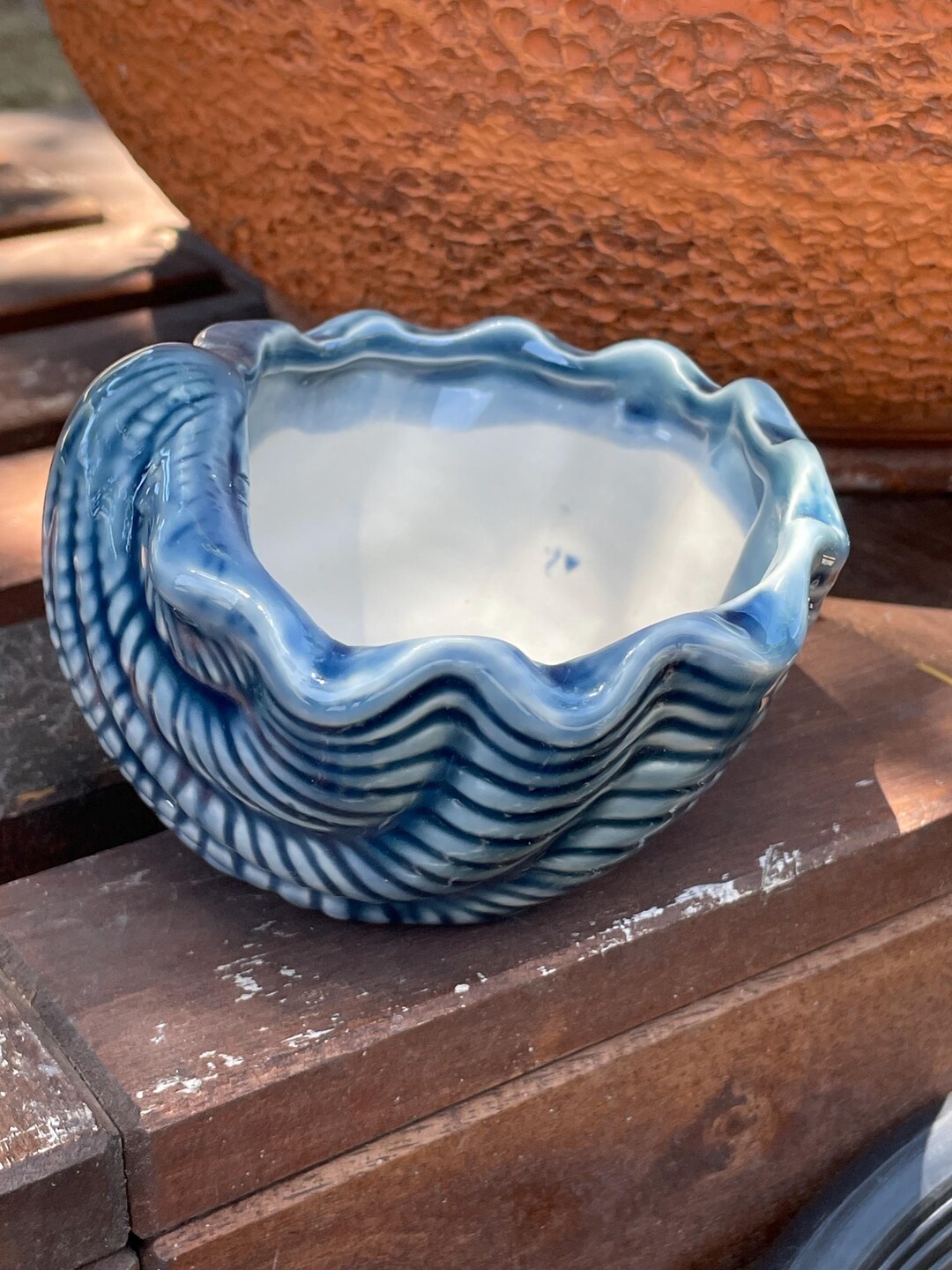 Shell Shaped Planter Pot ( Set of 2) Handmade Succulenet Cactus Ceramic ...