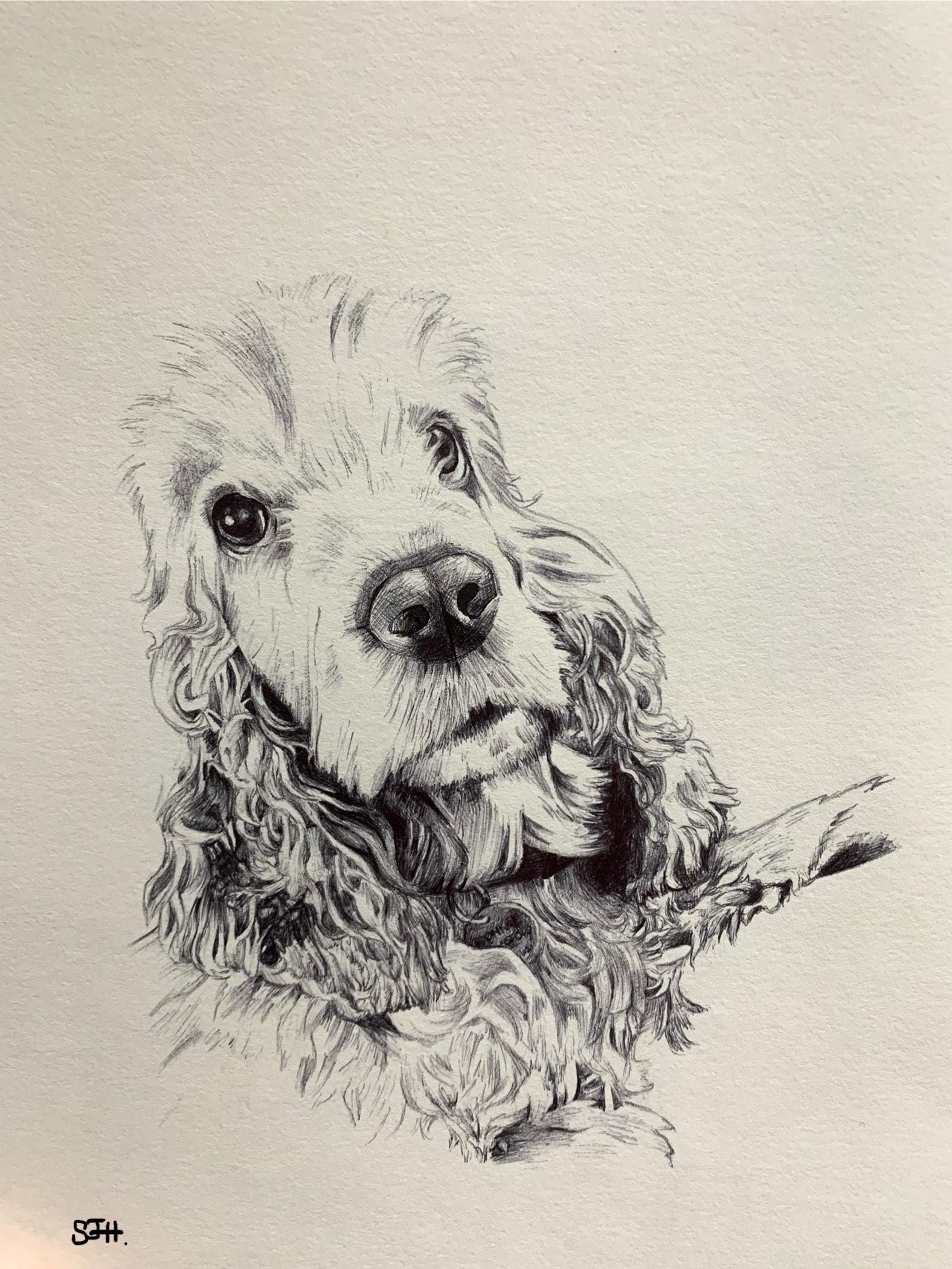 Personalized/customised Dog Drawing. Custom Pet Drawing, Hand Drawn ...