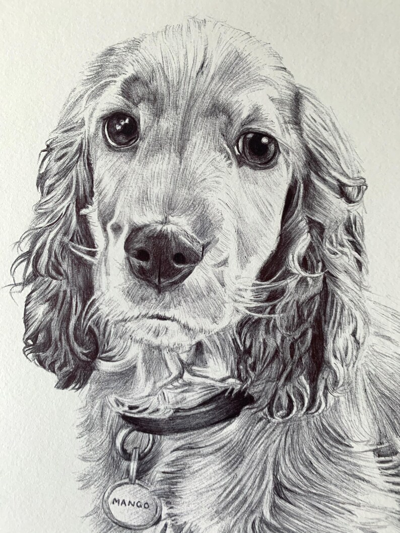 Personalized/customised Dog Drawing. Custom Pet Drawing, Hand Drawn ...