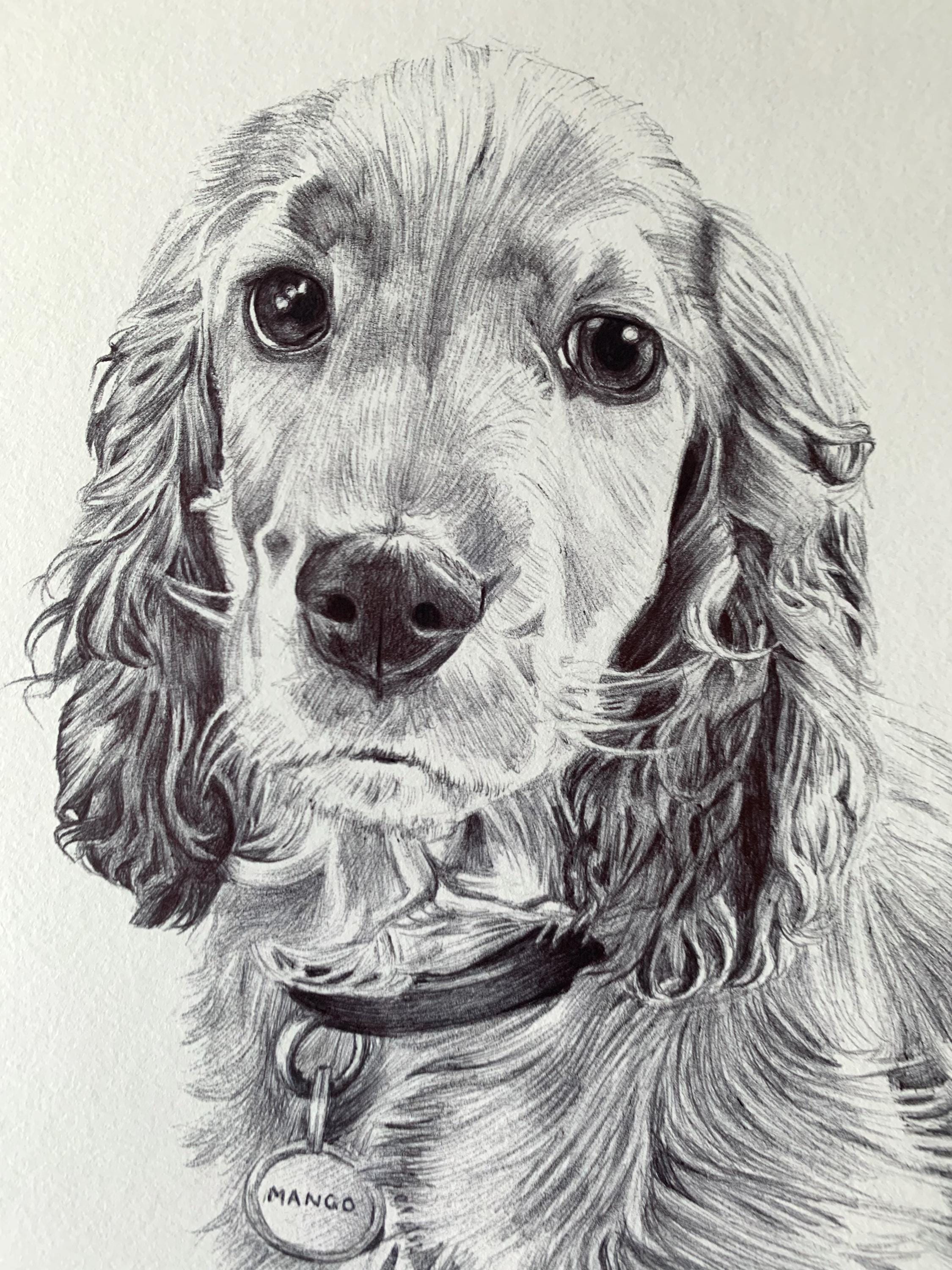 Personalized/customised Dog Drawing. Custom Pet Drawing, Hand Drawn ...