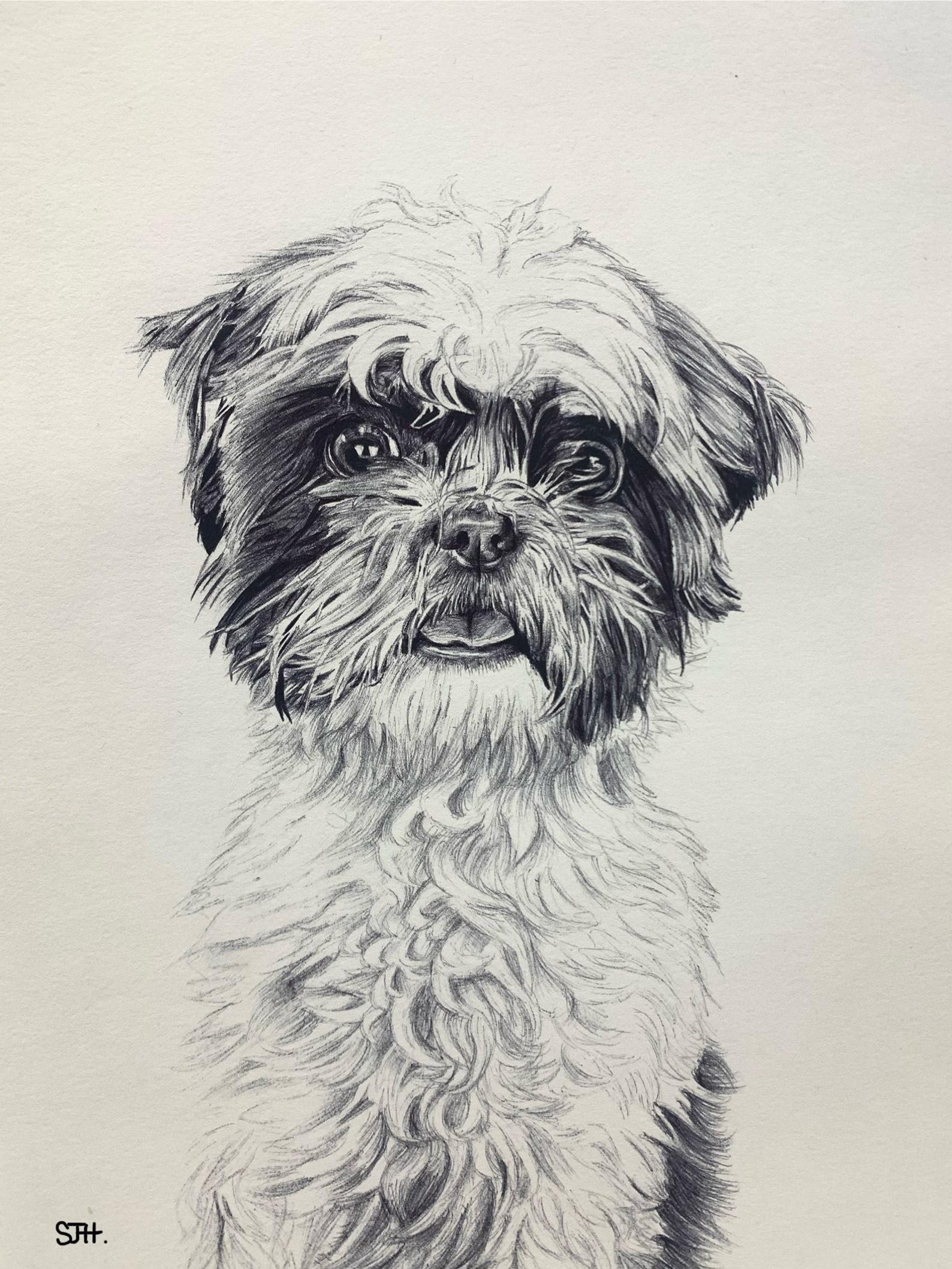 Personalized/customised Dog Drawing. Custom Pet Drawing, Hand Drawn ...