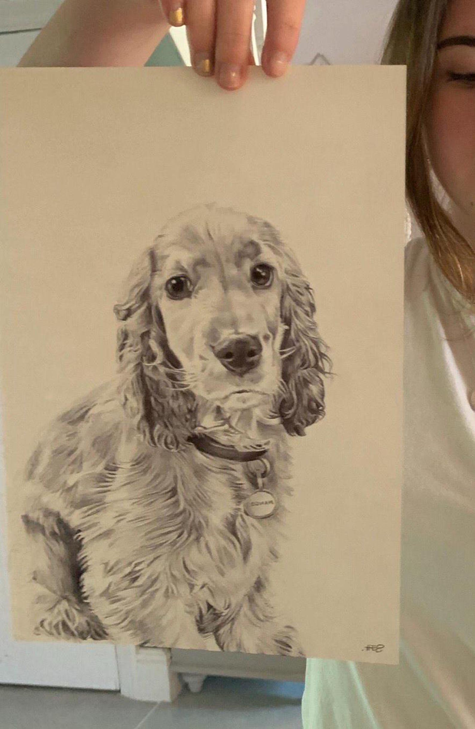 Personalized/customised Dog Drawing. Custom Pet Drawing, Hand Drawn ...