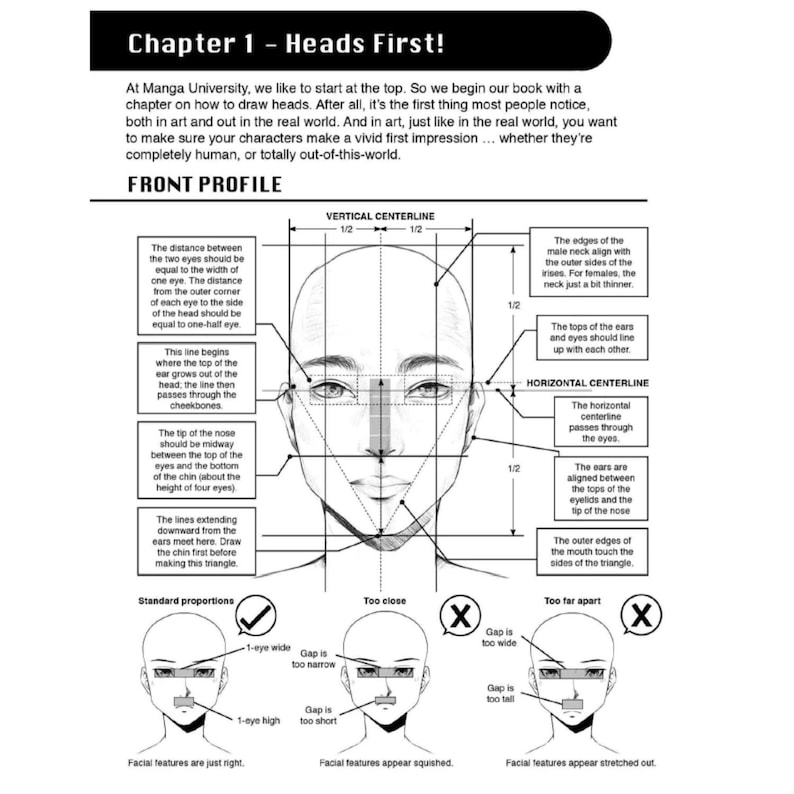 How to Draw Manga Basics and Beyond by Ryo Katagiri - Etsy