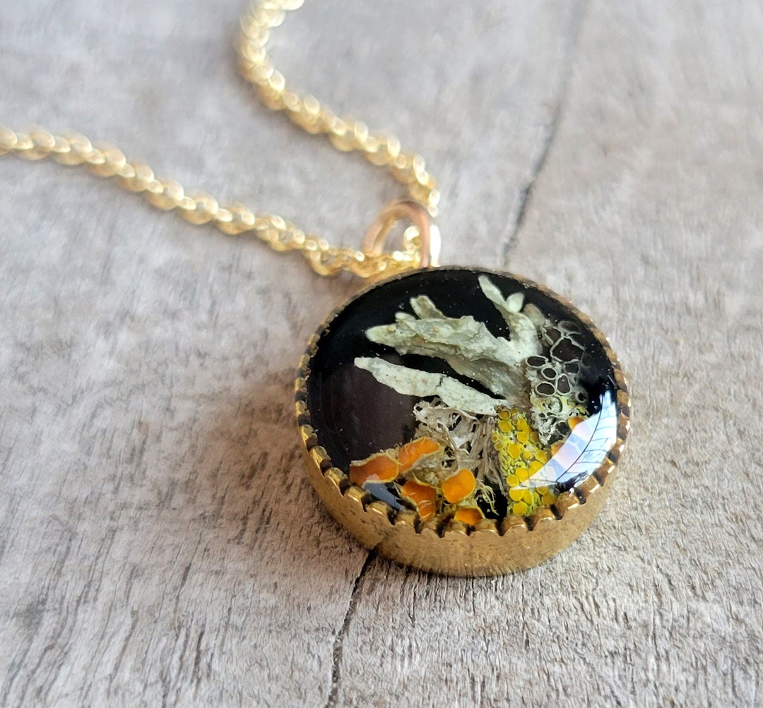 Real Lichen Necklace - Nature Jewelry - Botanical Jewelry - Woodland Necklace - Mini Gold Circle ...