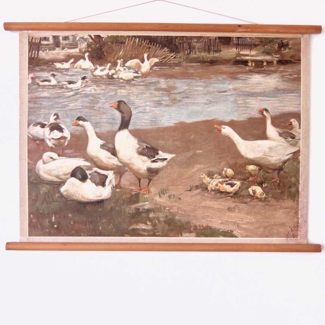 Pull Down Chart About Geese School Map Education Chart - Etsy