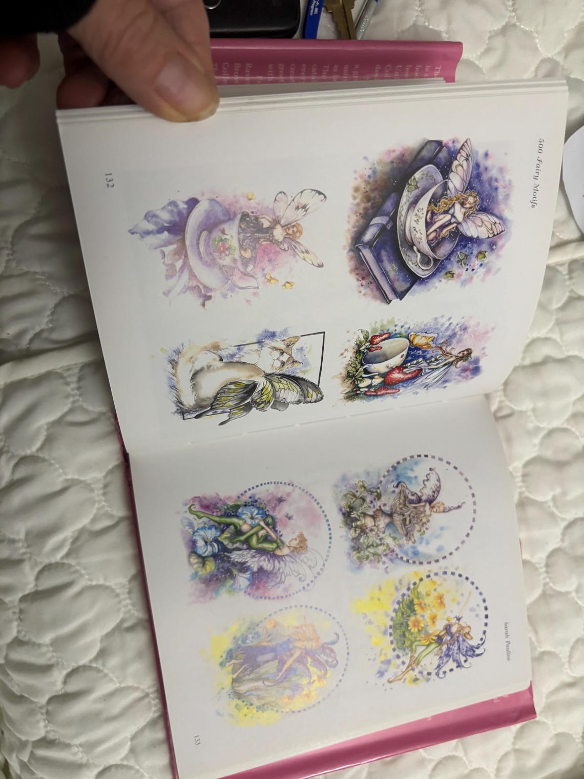 Book About Fairies, Fairy Complete Book, 500 Fairies Book by Murray ...
