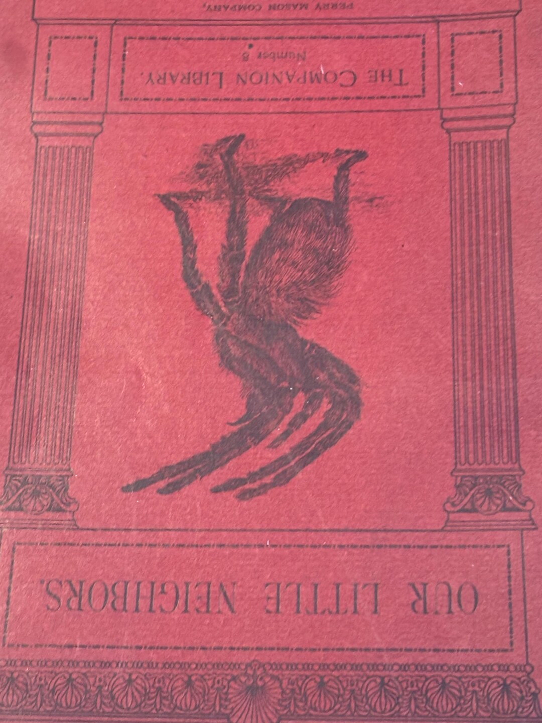 19th Century Boston Mass, Spider Drawing, 1800s Spider Story Booklet ...