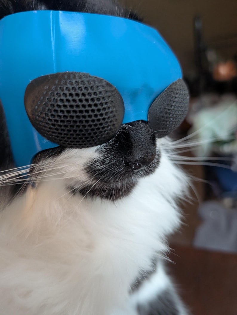 Invincible Cat Mask | Pet Superhero Cosplay | Expedited Shipping ...