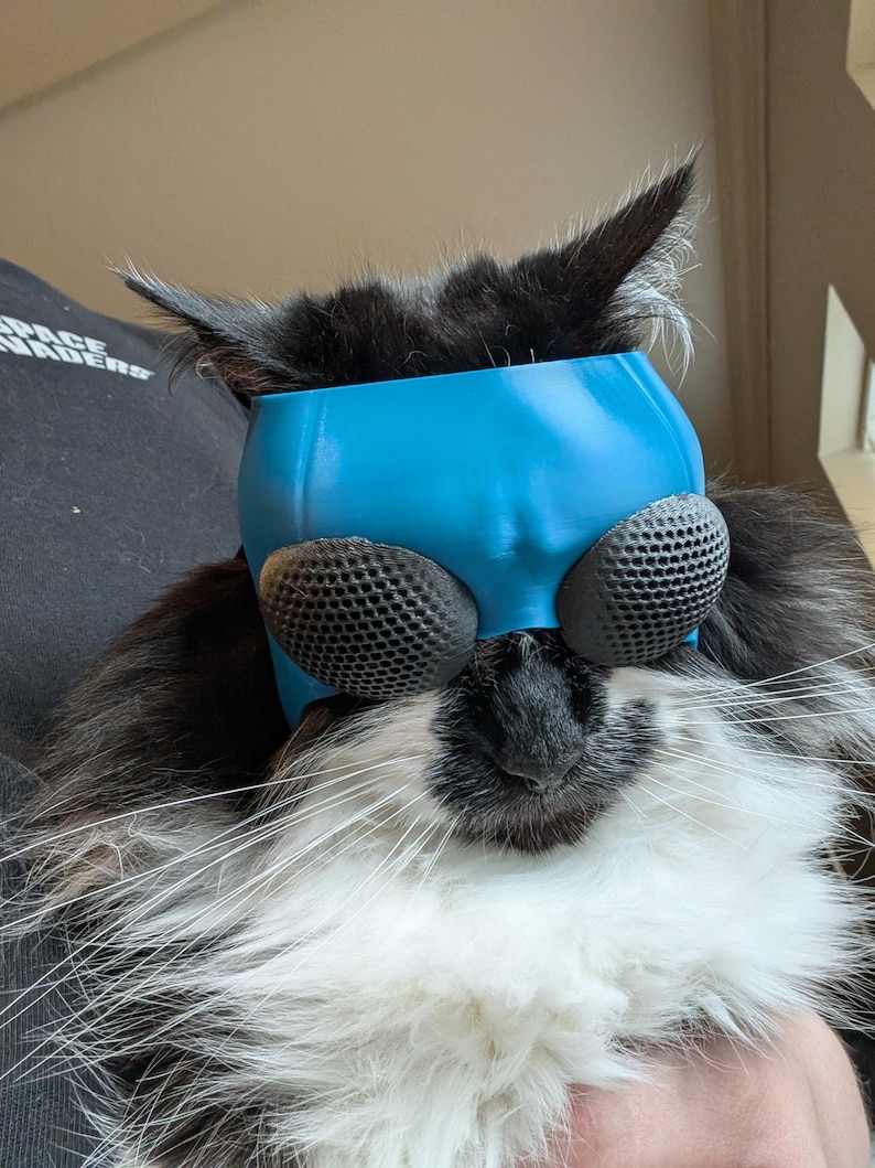 Invincible Cat Mask | Pet Superhero Cosplay | Expedited Shipping ...