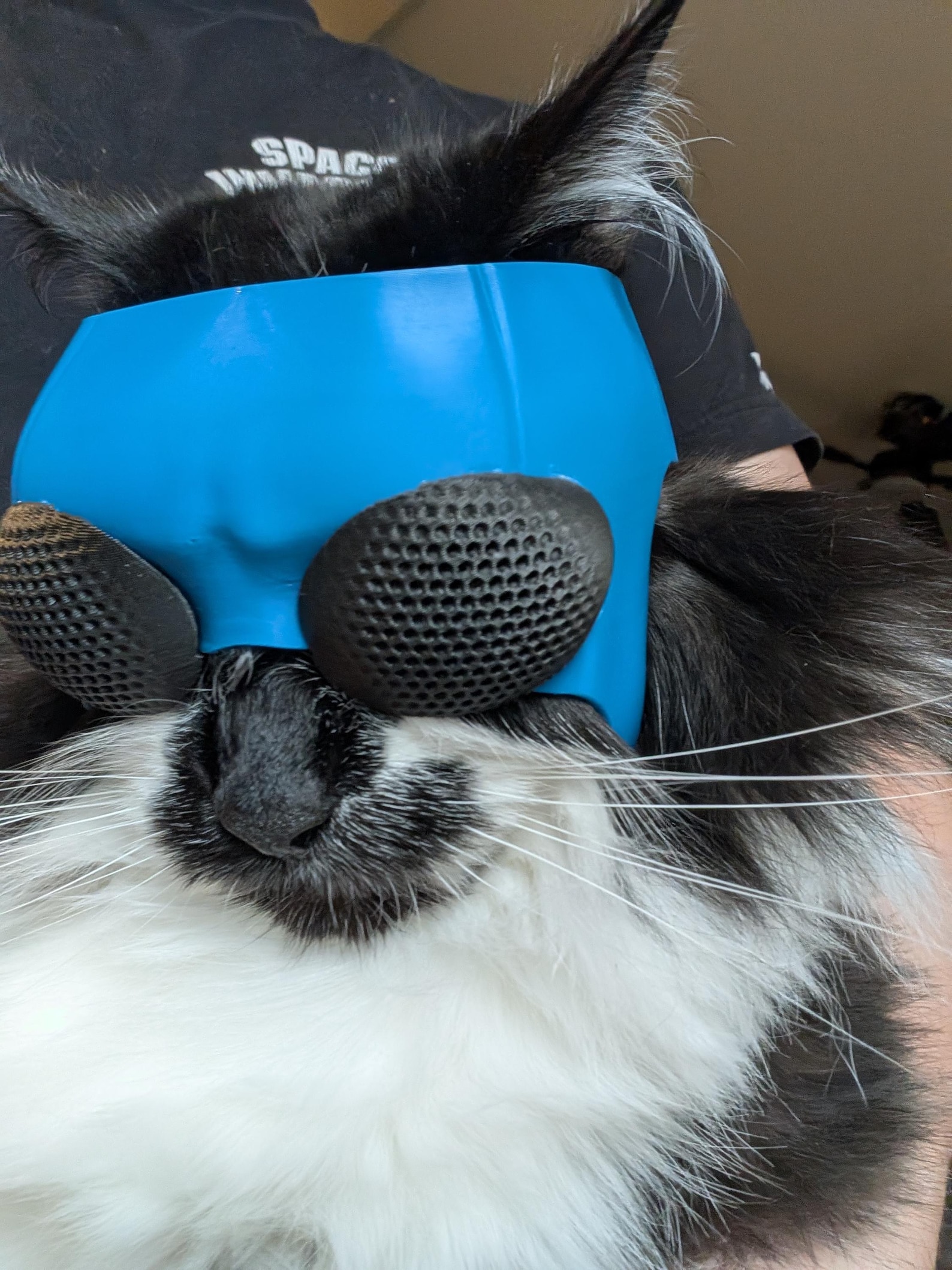Invincible Cat Mask | Pet Superhero Cosplay | Expedited Shipping ...