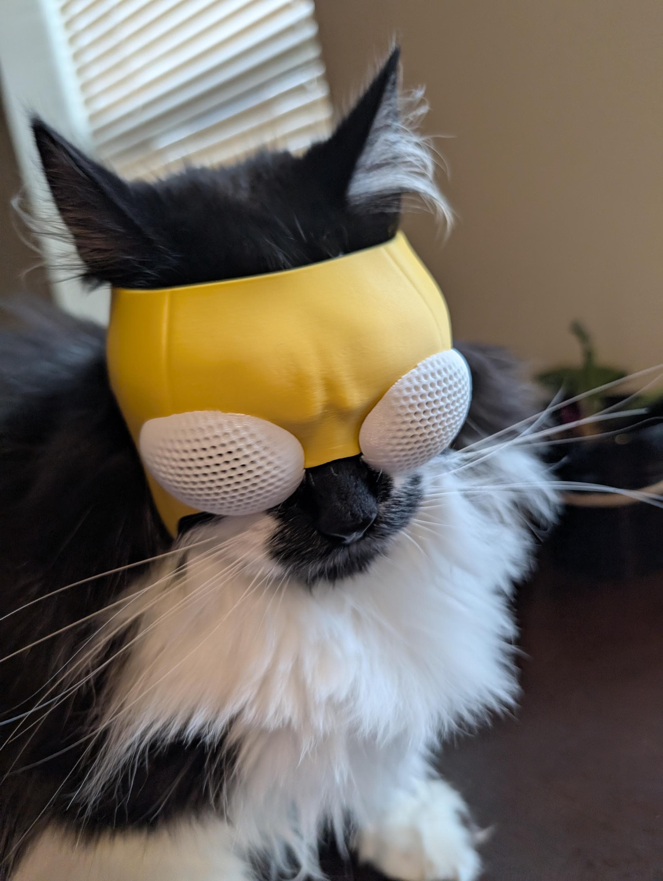 Invincible Cat Mask | Pet Superhero Cosplay | Expedited Shipping ...