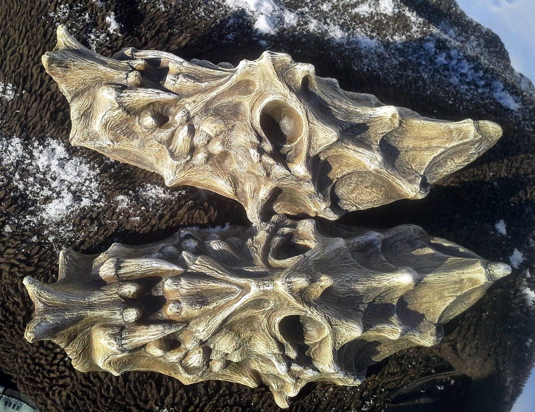 Scull Bracers: LARP Armor - Etsy