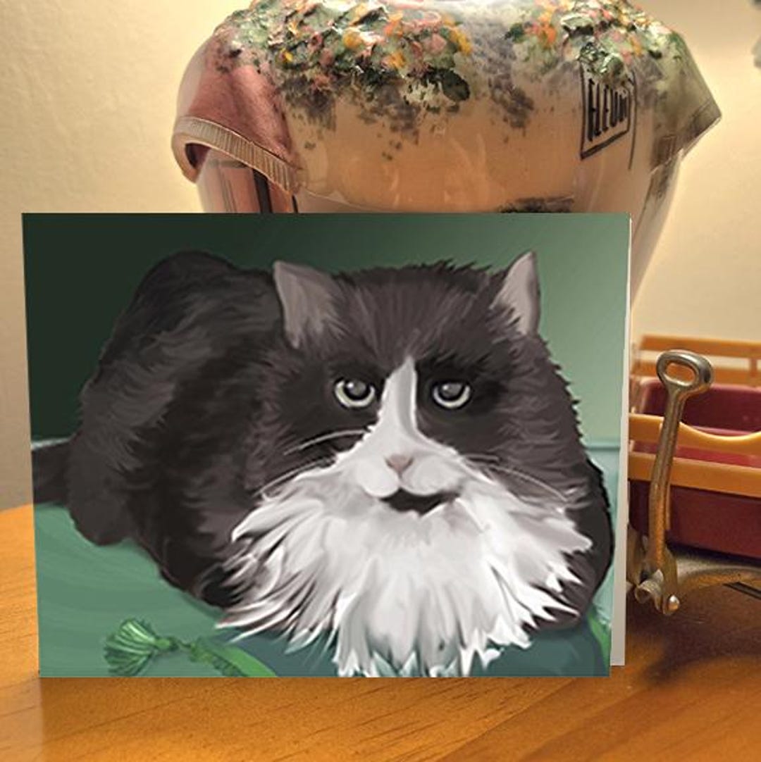 10 Turkish Angora Tuxedo Cat Blank Note Cards 10pc - Etsy
