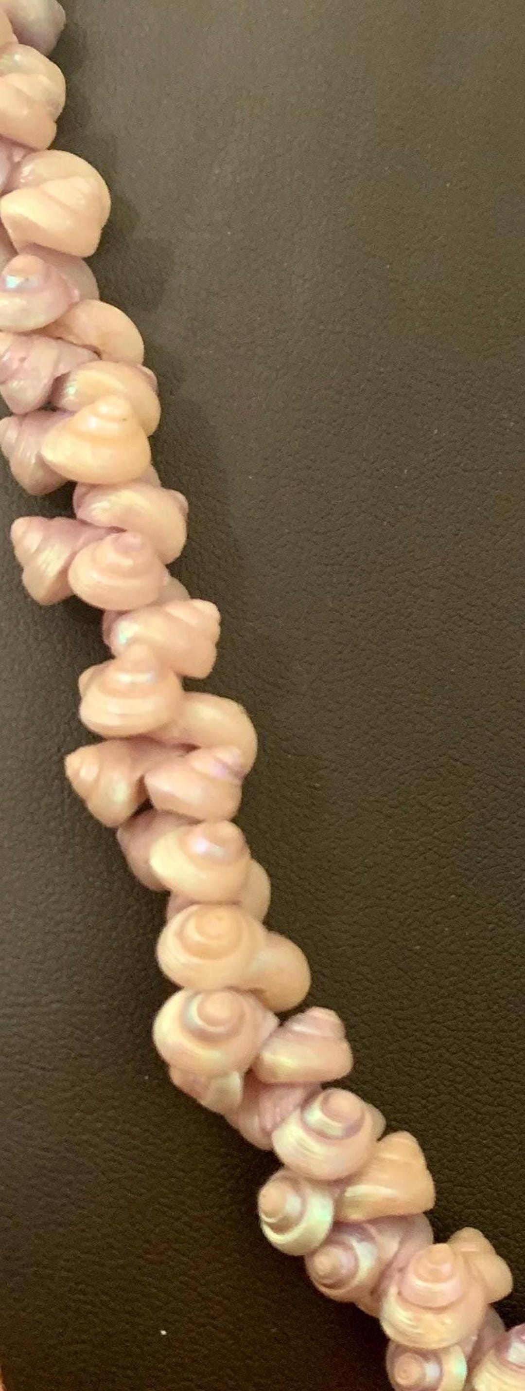 1950s Snail Shell Necklace - Etsy