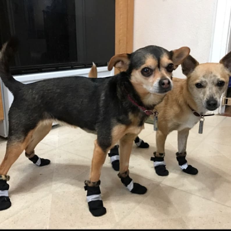 L Waterproof Dog Booties Lined With Fleece - Etsy
