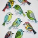 PDF Pattern Fabric Scraps Bird Pattern With Step-by-step Instructions ...