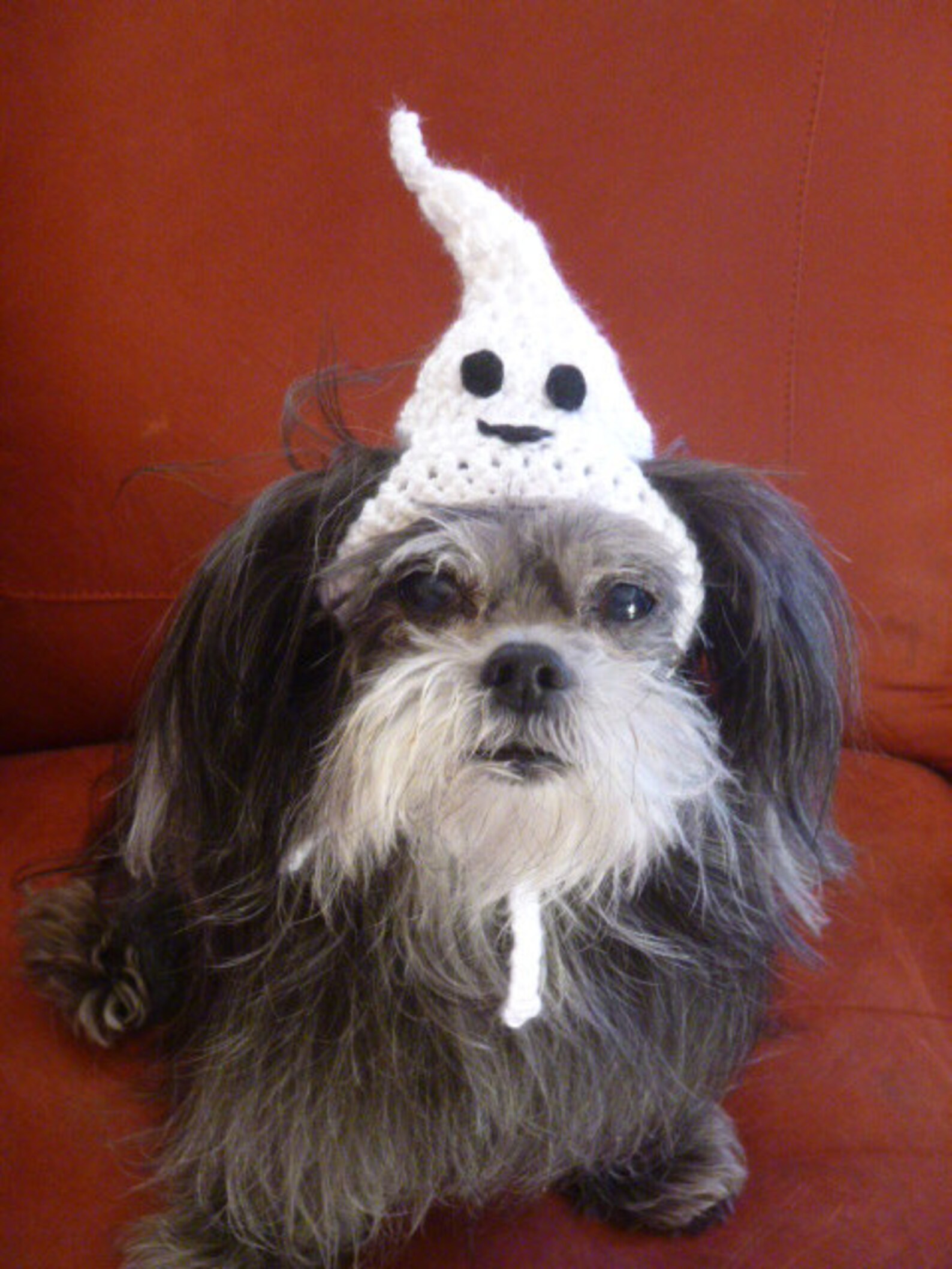 Dog or Cat- Halloween WITCH or GHOST HAT - Humorous - Choose Color - 2 ...