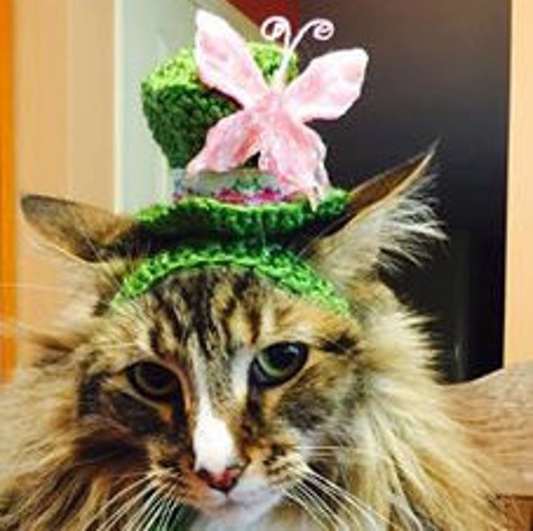 NEW - Mini Sparkle Top Hat for Dog, Cat -butterfly-made to Fit-need ...