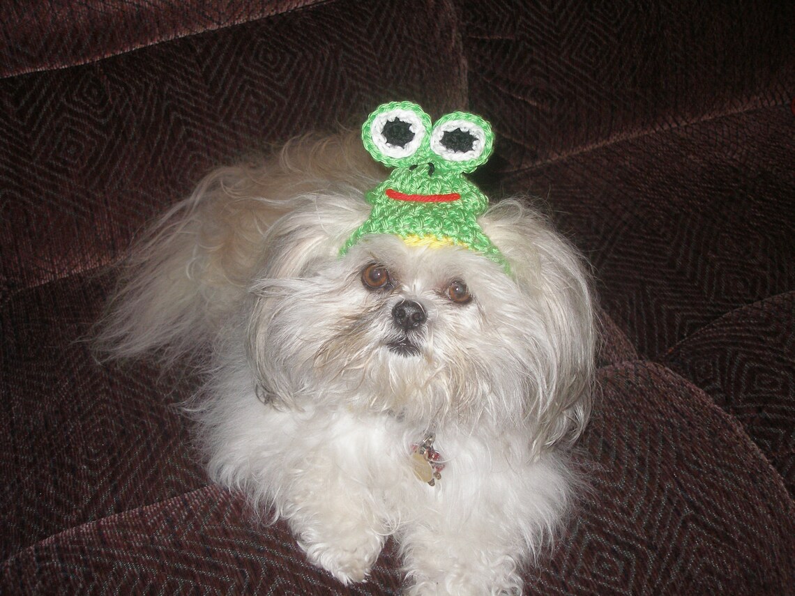 Dog Hat HOPPY FROG Hat Humorous 2 to 20 Lb Pets Need - Etsy