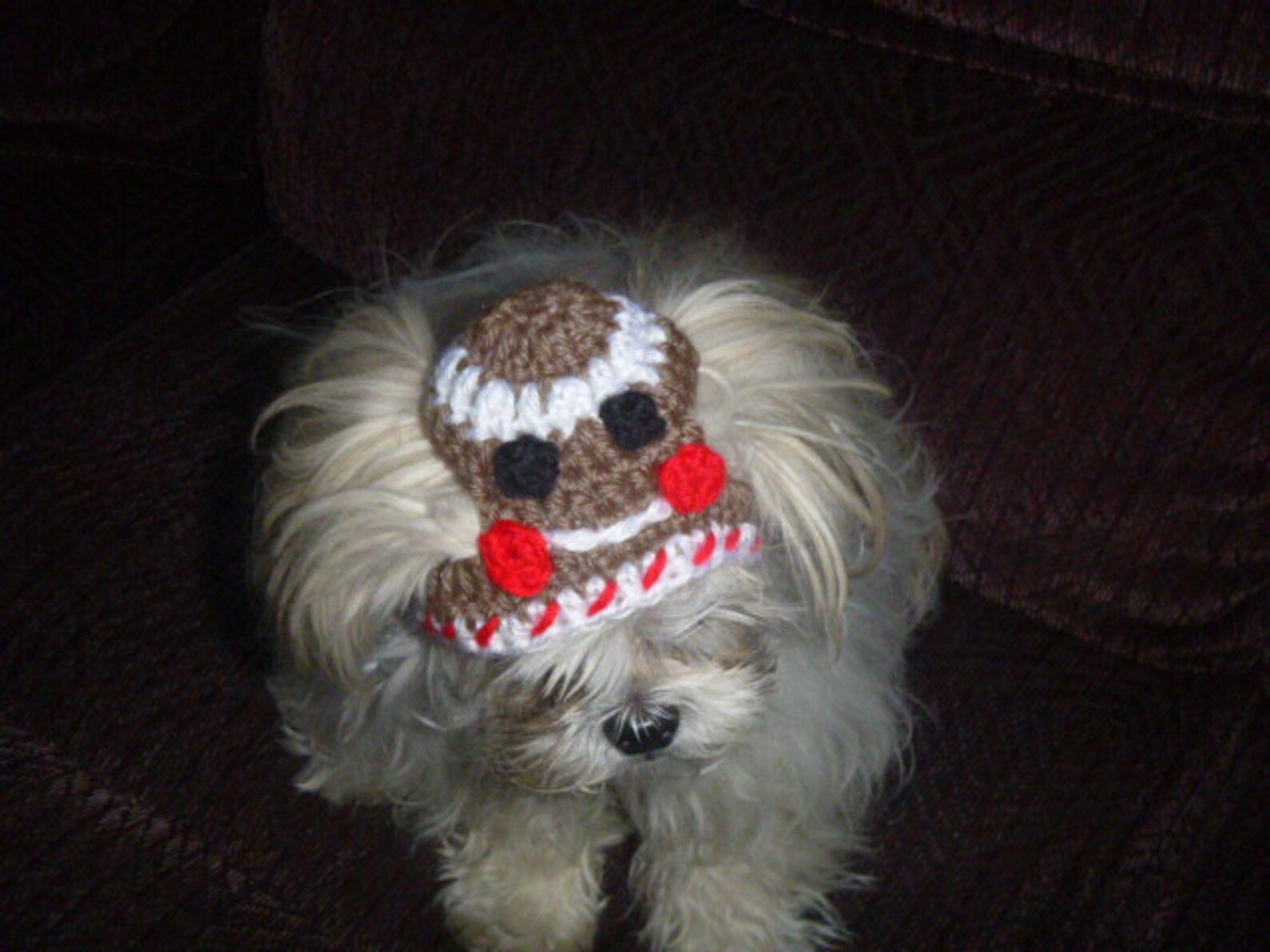 GINGERBREAD MAN Christmas Pet Hat 2 to 20 Lb Dog or Cat - Etsy