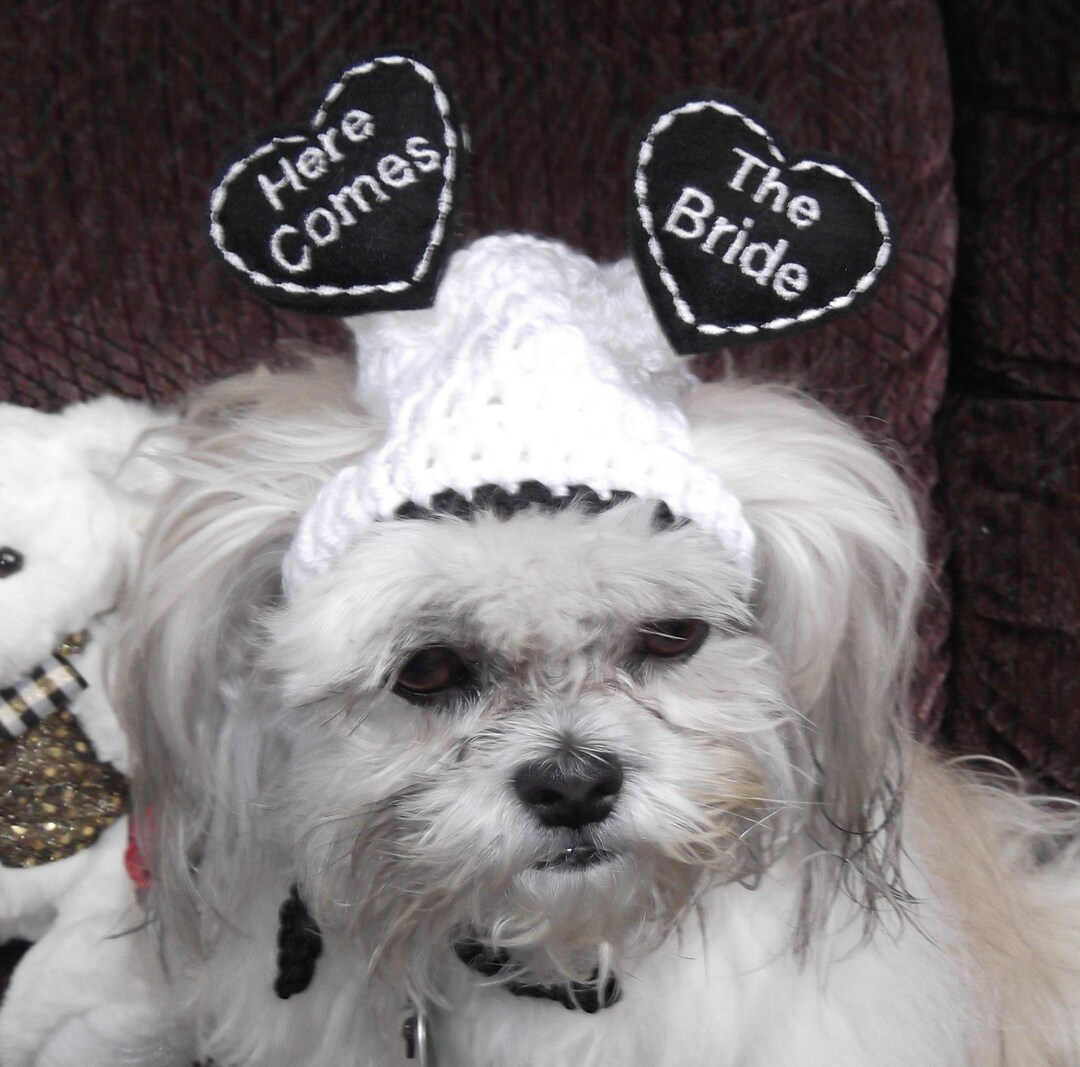 WEDDING PARTY Dog Hat - Here Comes the Bride - Floating Hearts - 2 to ...