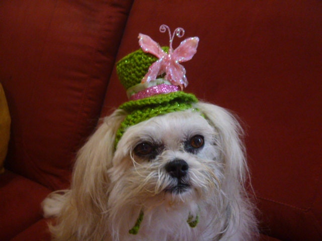 NEW Mini Sparkle Top Hat for Dog Cat butterfly-made to - Etsy