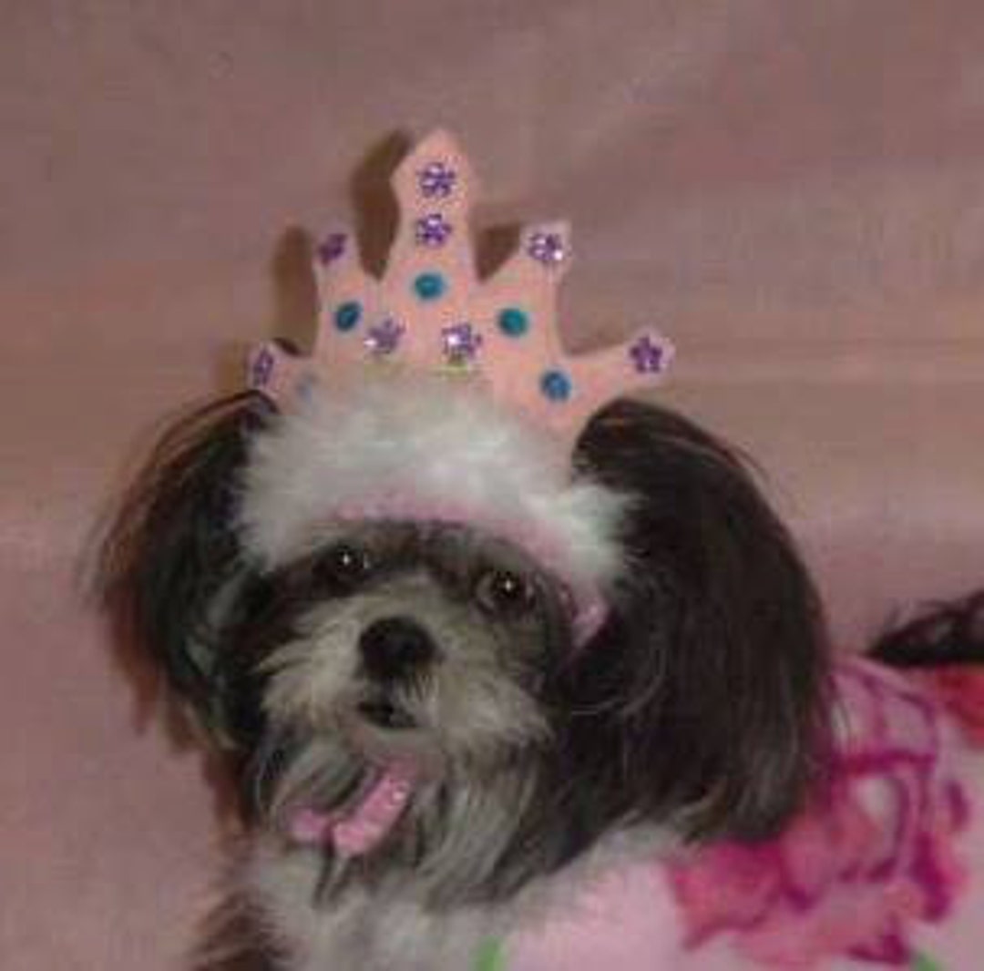 PRINCESS Crown - TIARA Pet Hat With Jewels - 2 to 20 Lb Dog or Cat ...