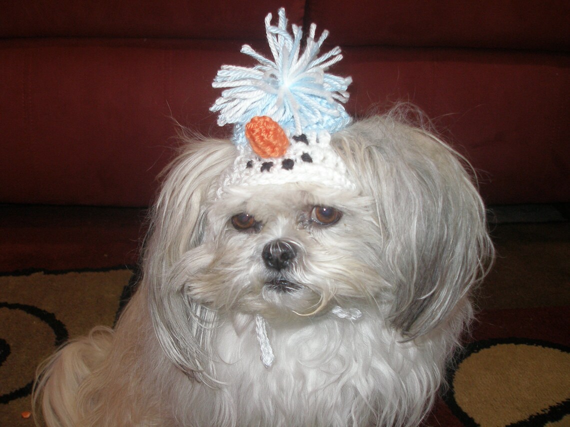 Dog Hat - SNOW MAN - Humorous - Choose Color - 2 to 20 Lb Pets - Need ...
