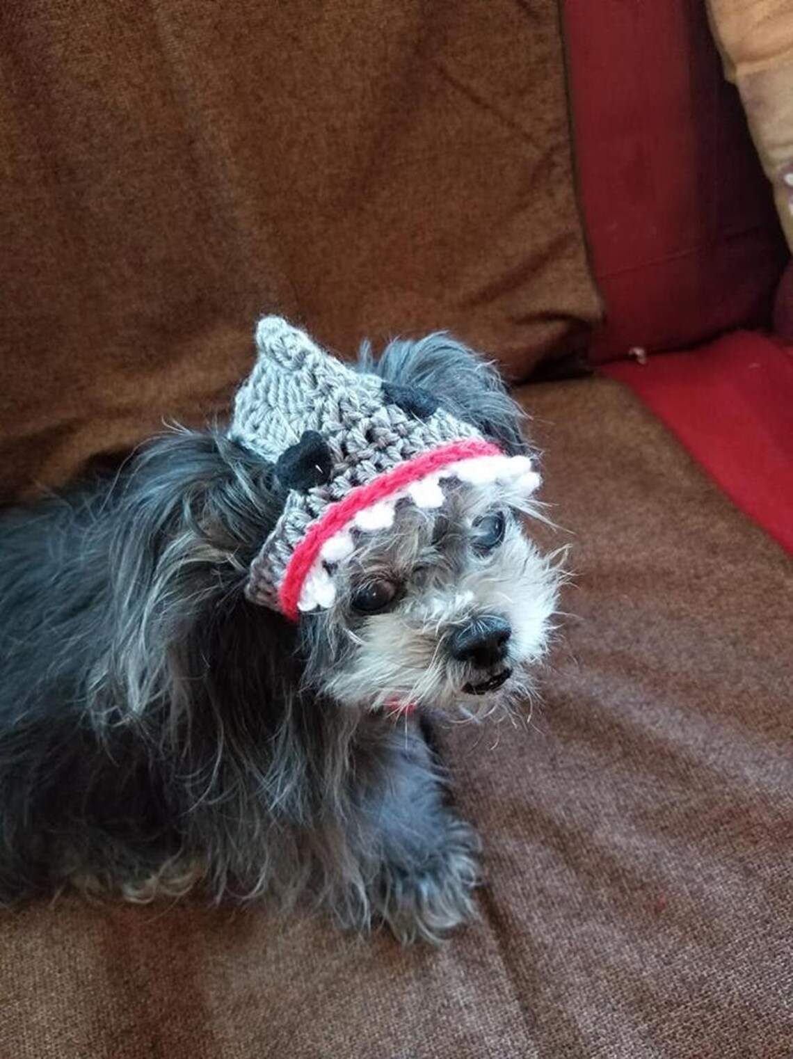 SHARK Baby Shark Sharknado pet hat Dog or Cat Humorous 2 | Etsy