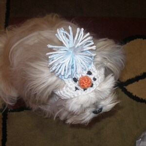 Dog Hat - SNOW MAN - Humorous - Choose Color - 2 to 20 Lb Pets - Need ...