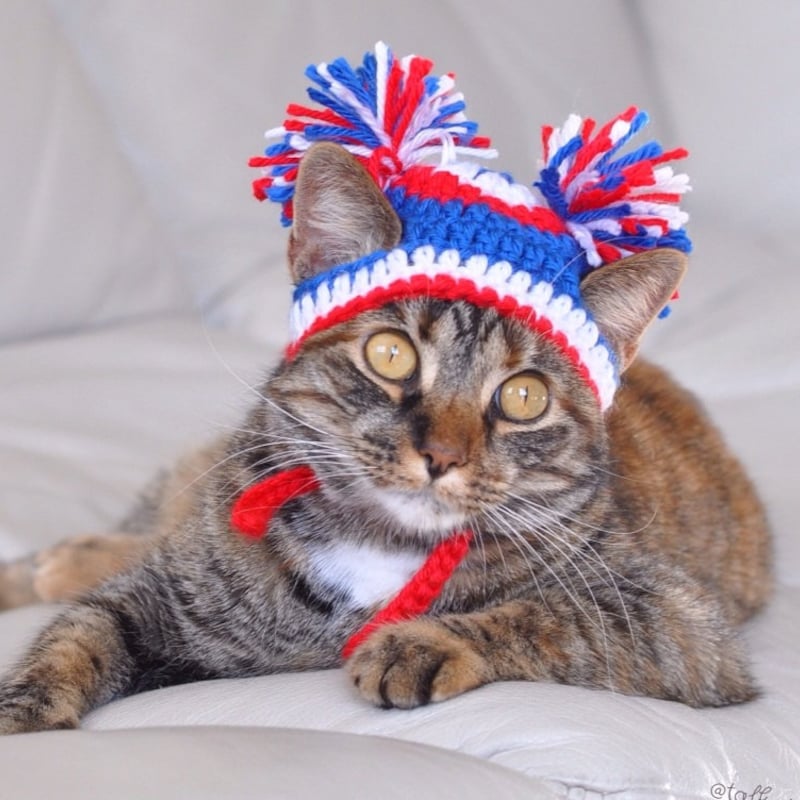 Maga Hat for Cats - Etsy