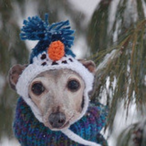 Dog Hat - SNOW MAN - Humorous - Choose Color - 2 to 20 Lb Pets - Need ...