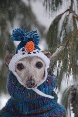 Dog Hat - SNOW MAN - Humorous - Choose Color - 2 to 20 Lb Pets - Need ...