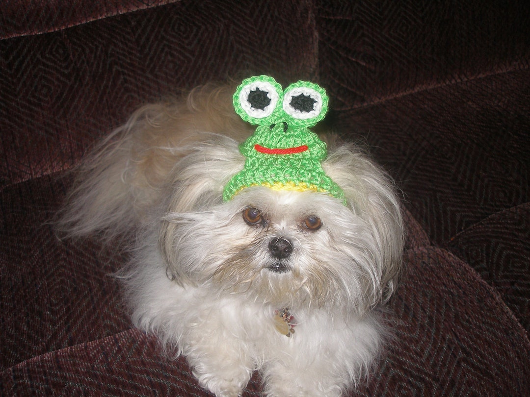 Dog Hat - HOPPY FROG Hat - Humorous - 2 to 20 Lb Pets - Need ...