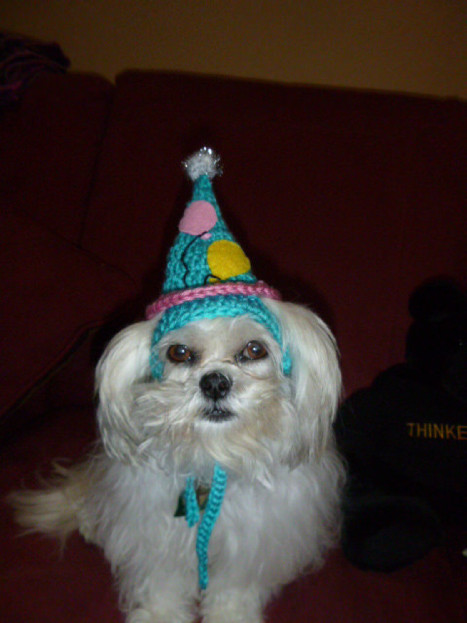 Dog Cat BIRTHDAY PARTY Hat With Balloons Humorous Choose - Etsy