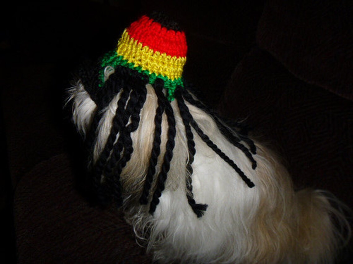 RASTA Pet Hat With or Without Dreads Humorous 2 to 20 Lb - Etsy