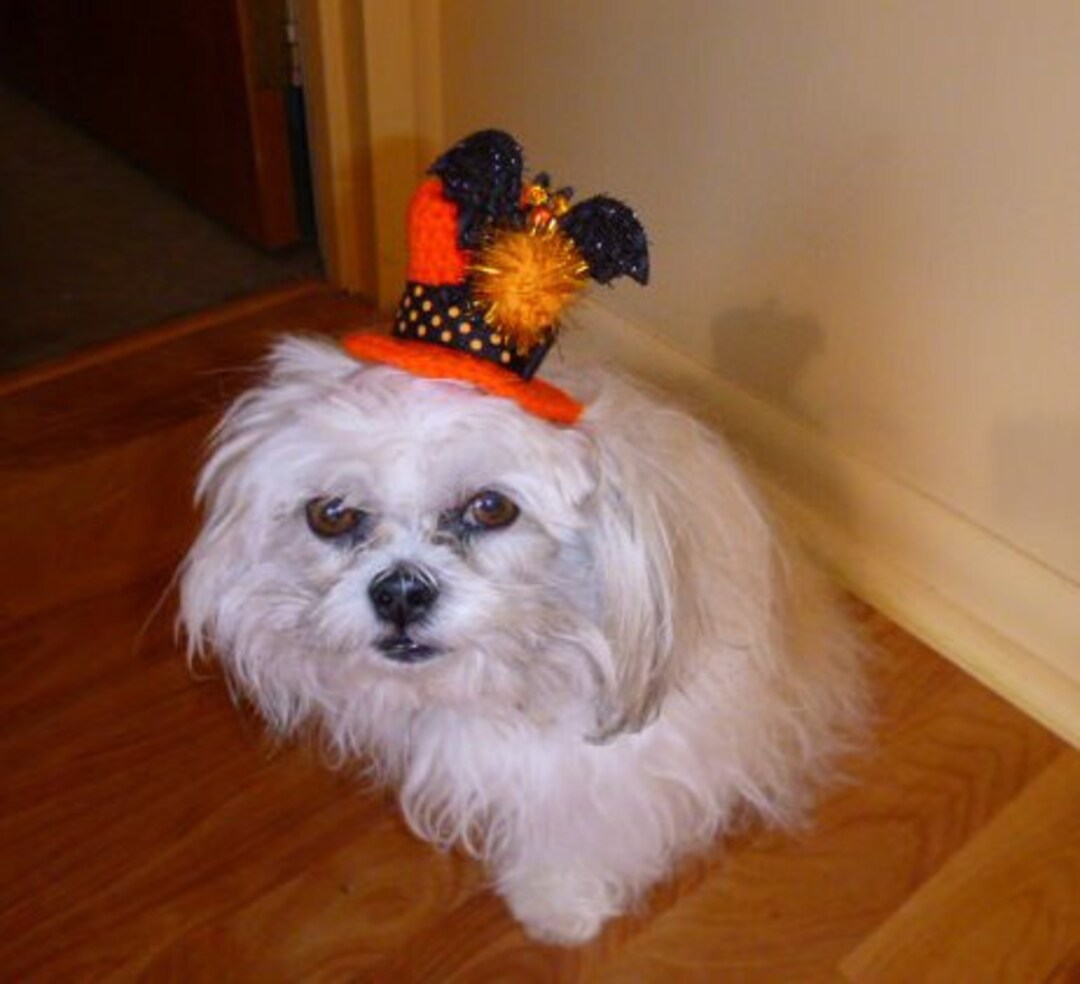 NEW - Halloween Mini Top Hat for Dog, Cat -made to Fit-need Measurement ...