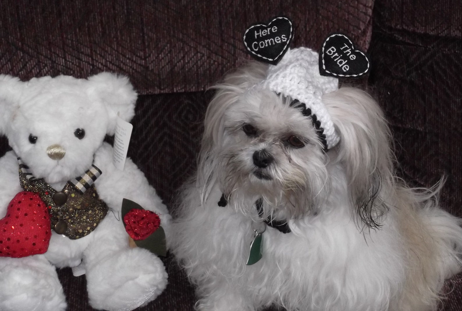 WEDDING PARTY Dog Hat Here Comes the Bride Floating Hearts - Etsy