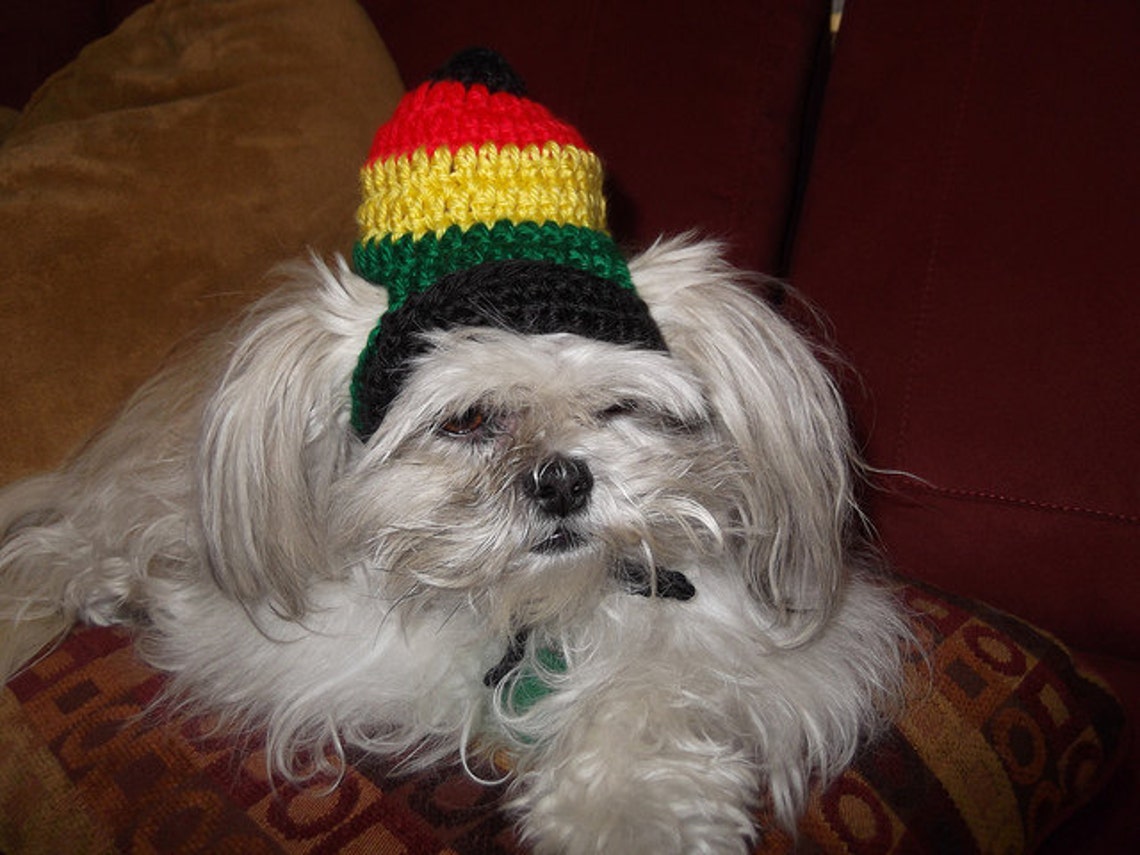 RASTA Pet Hat With or Without Dreads Humorous 2 to 20 Lb - Etsy