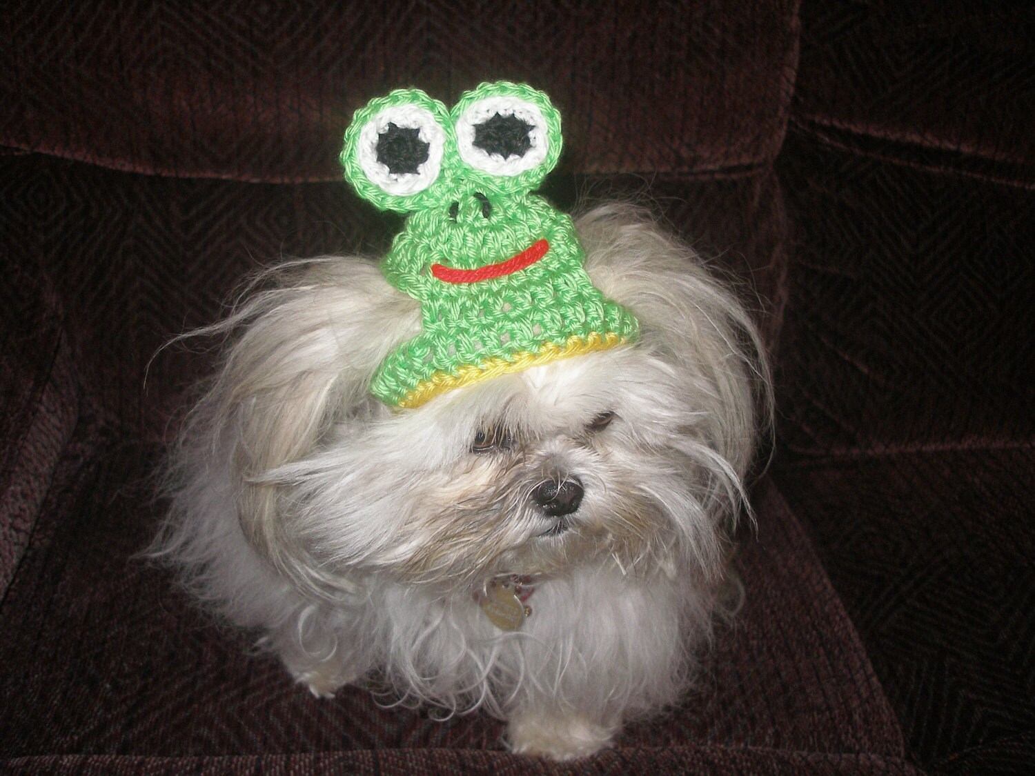 Dog Hat HOPPY FROG Hat Humorous 2 to 20 Lb Pets Need | Etsy