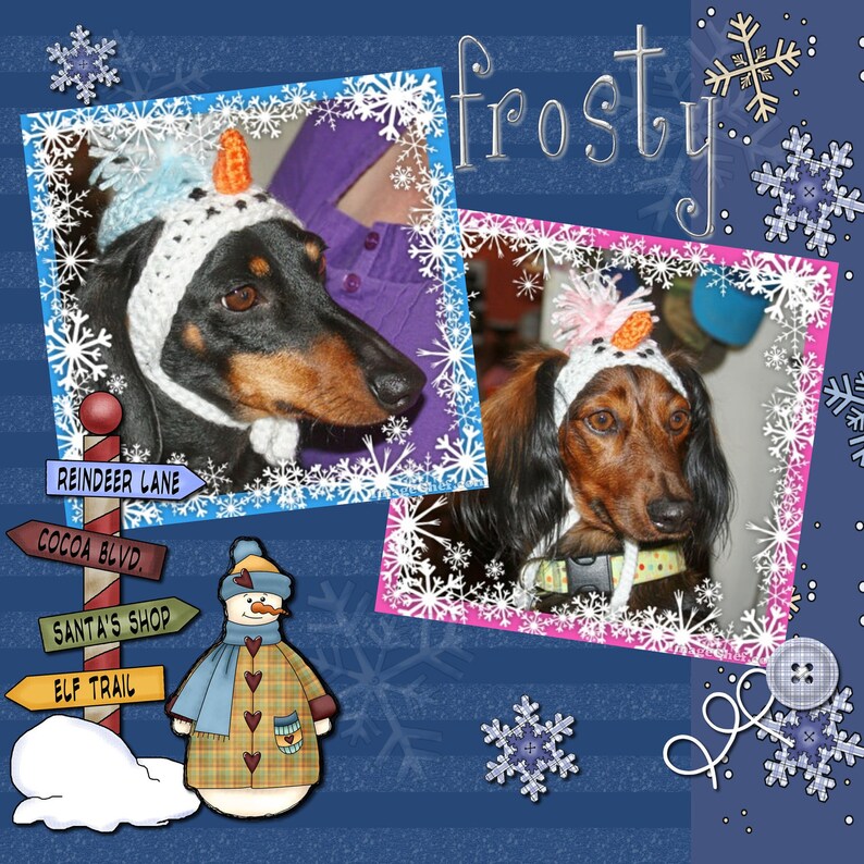 Dog Hat - SNOW MAN - Humorous - Choose Color - 2 to 20 Lb Pets - Need ...