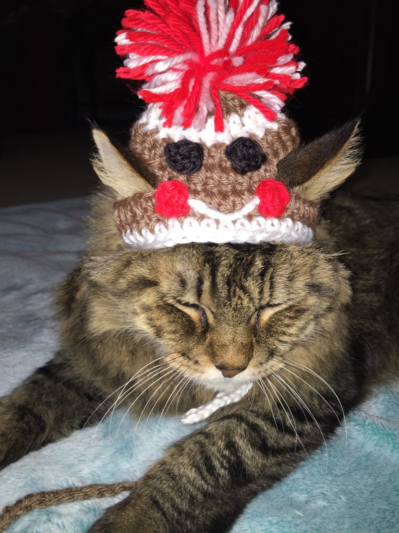 GINGERBREAD MAN Christmas Pet Hat 2 to 20 Lb Dog or Cat - Etsy