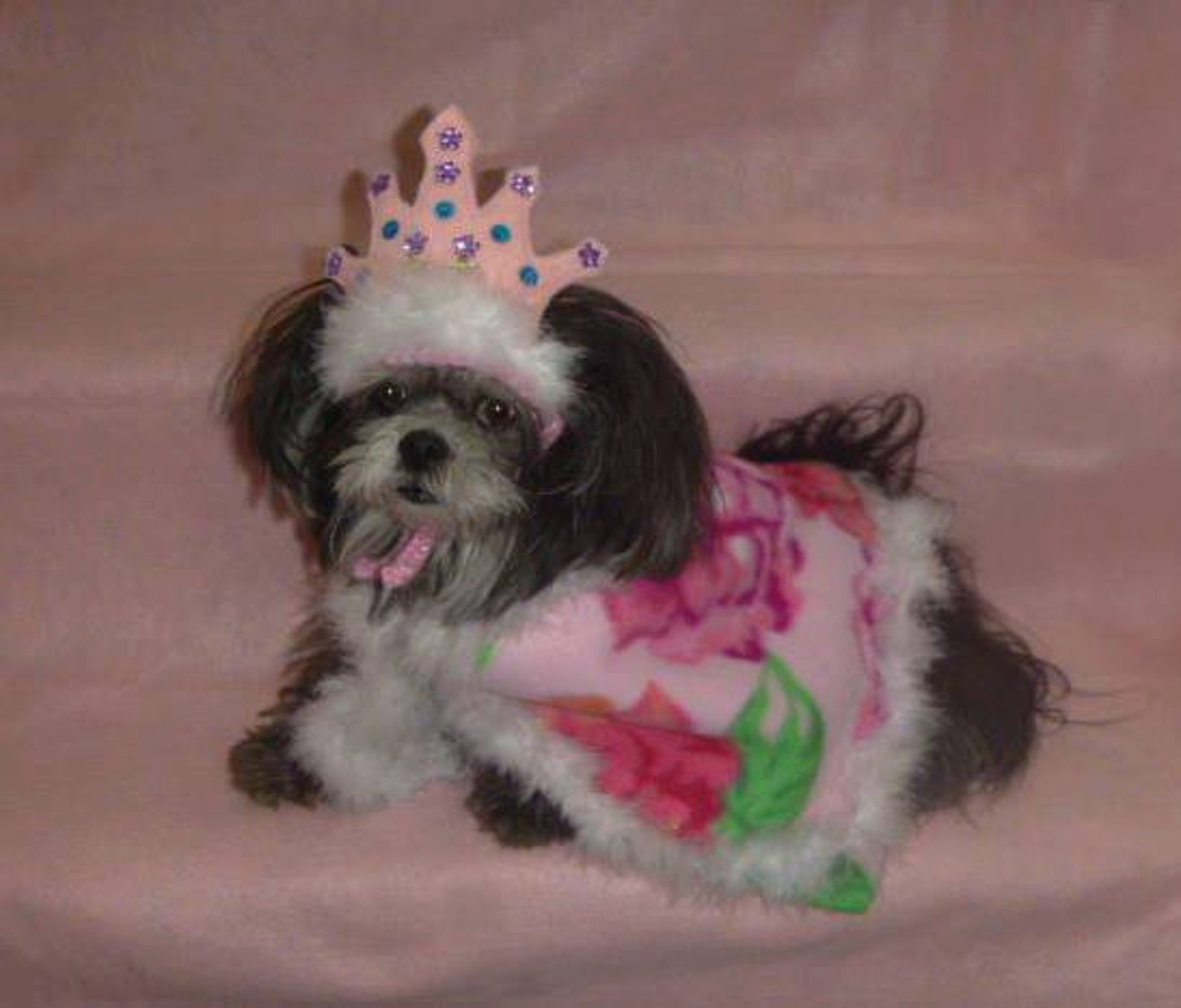 PRINCESS Crown - TIARA Pet Hat With Jewels - 2 to 20 Lb Dog or Cat ...
