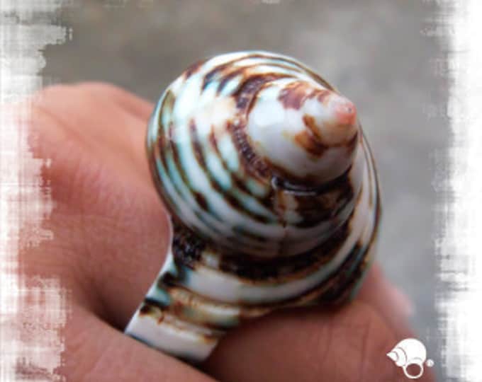 Aquamarine Seashell Ring - Etsy