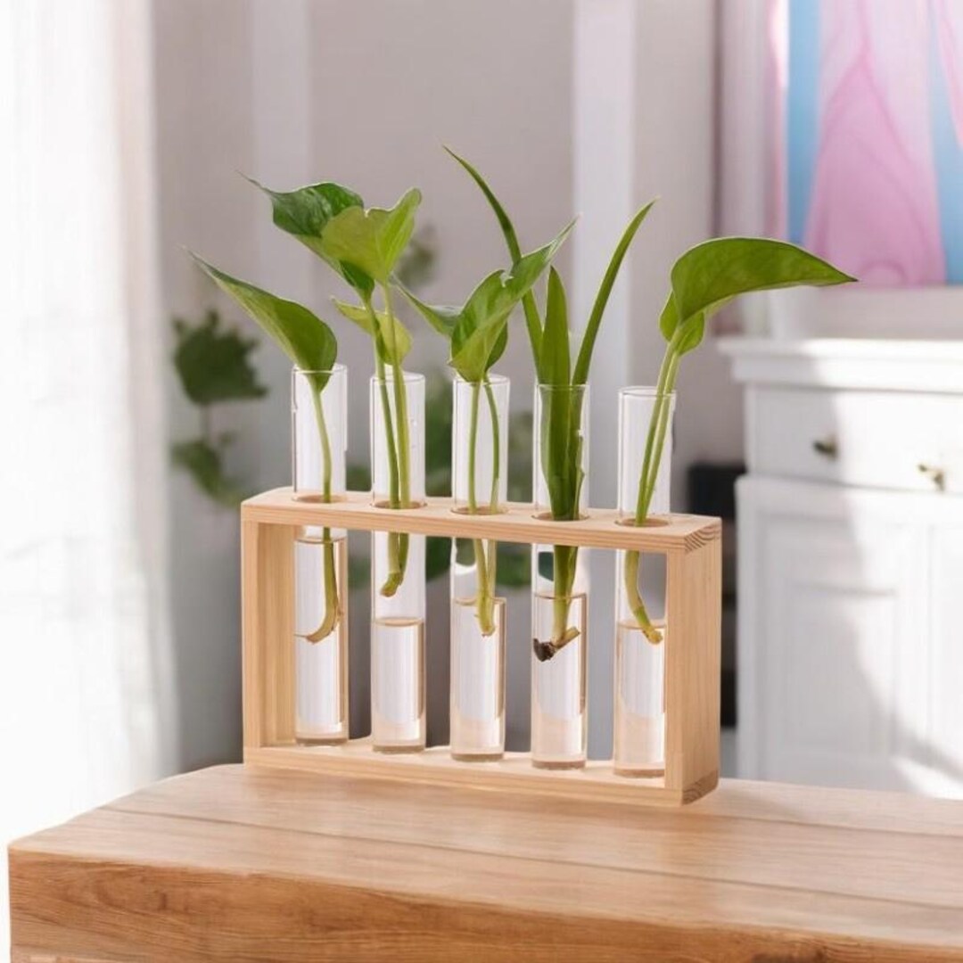 Plant Propagation Station Gift Set Plant Mom Home Decor Desk Decor for ...