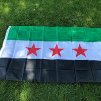 Pandya Flag 100% Polyester With 2 Iron Grommets Pandya Dynasty Flags - Etsy