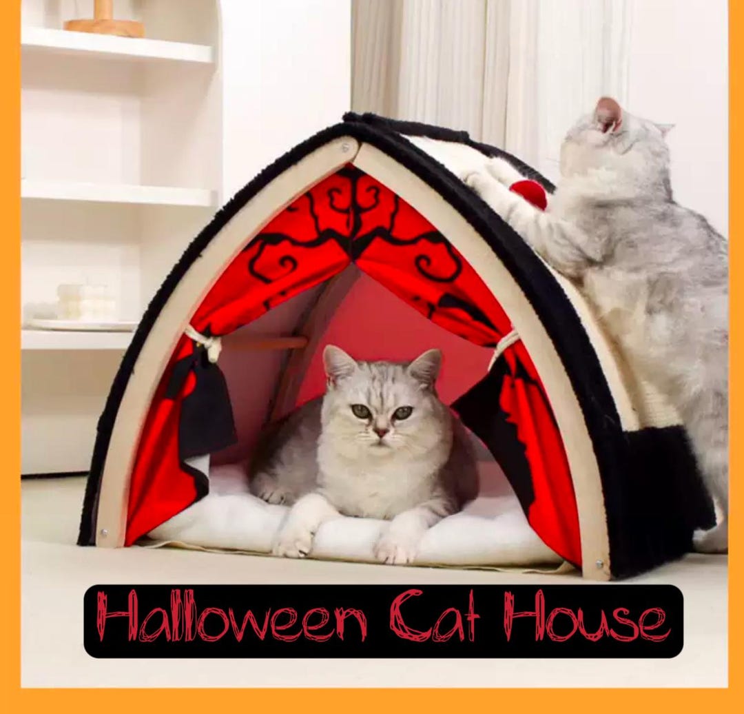 Halloween Cat House Spooky & Cozy Hideaway, Cat Tree, Fun and Cute ...